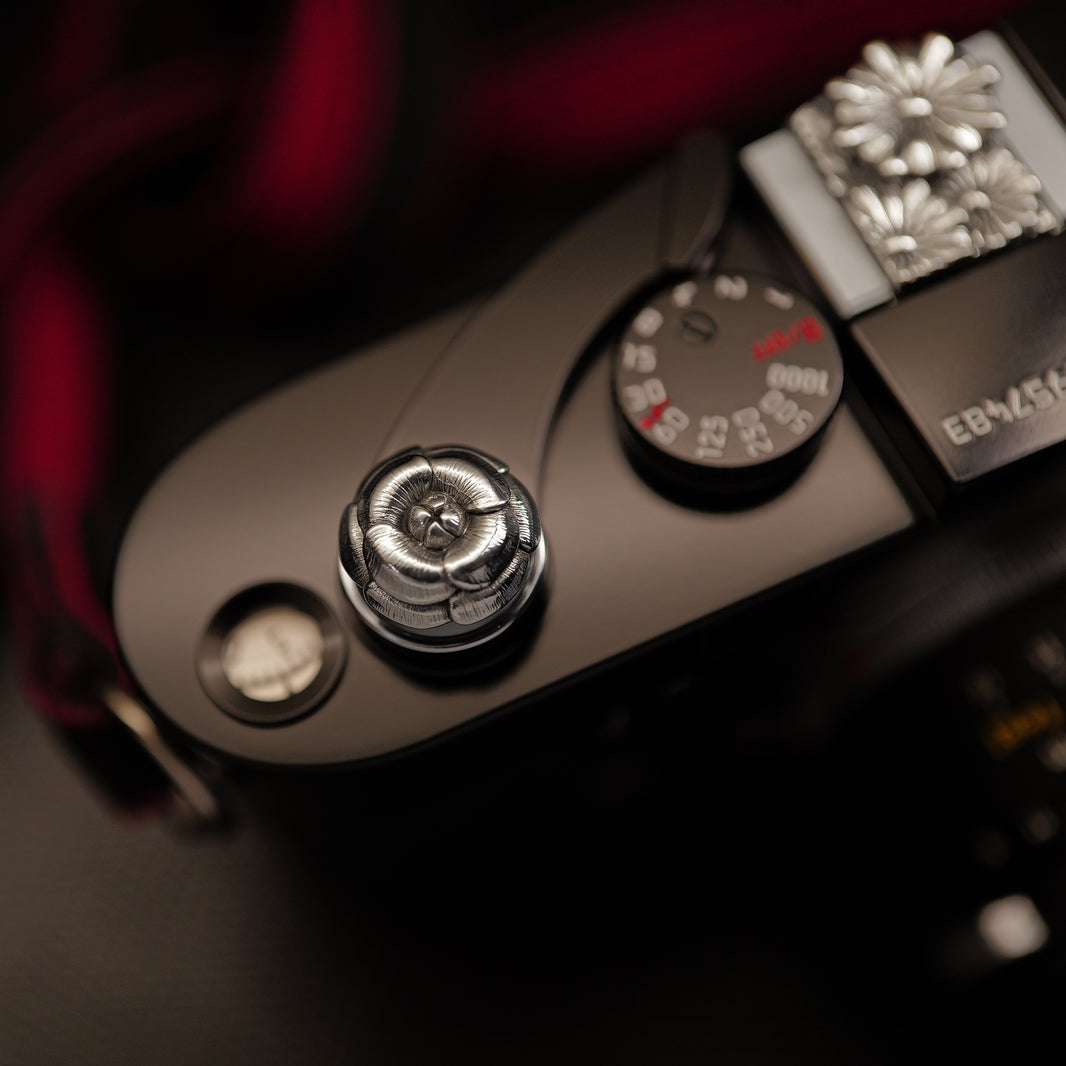 Camera soft release buttons – JAY TSUJIMURA