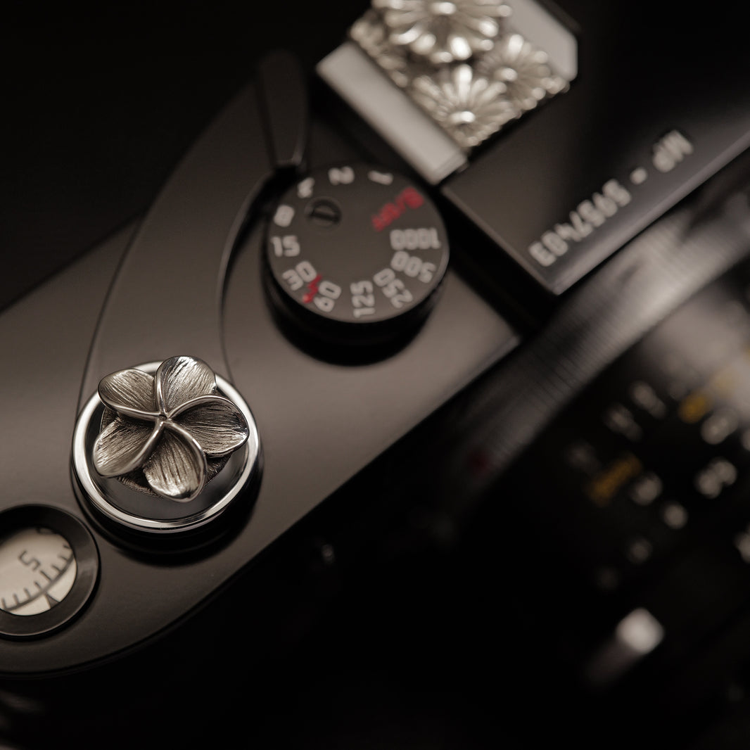 Camera soft release buttons – JAY TSUJIMURA